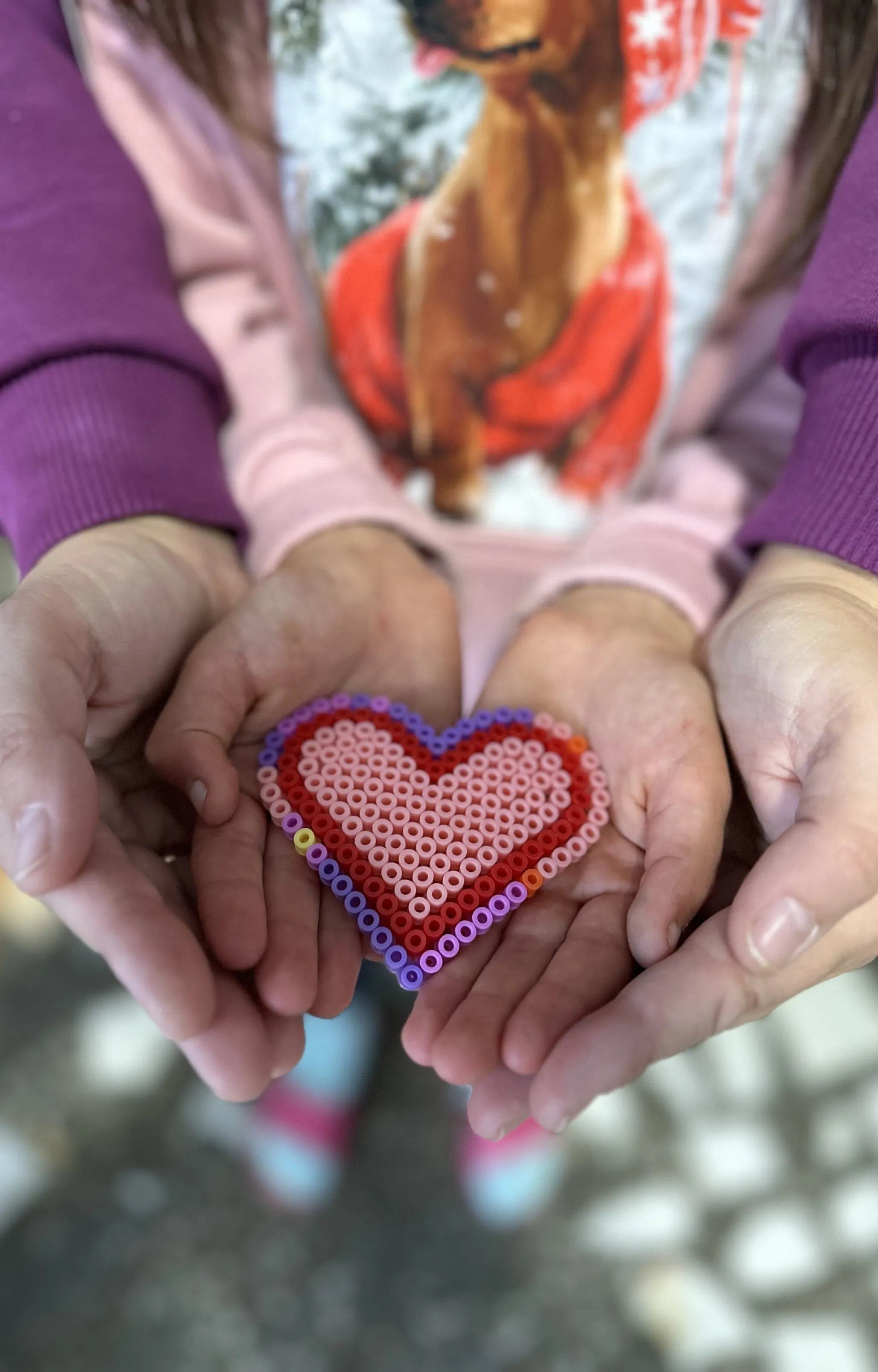 Europe | Project HOPE