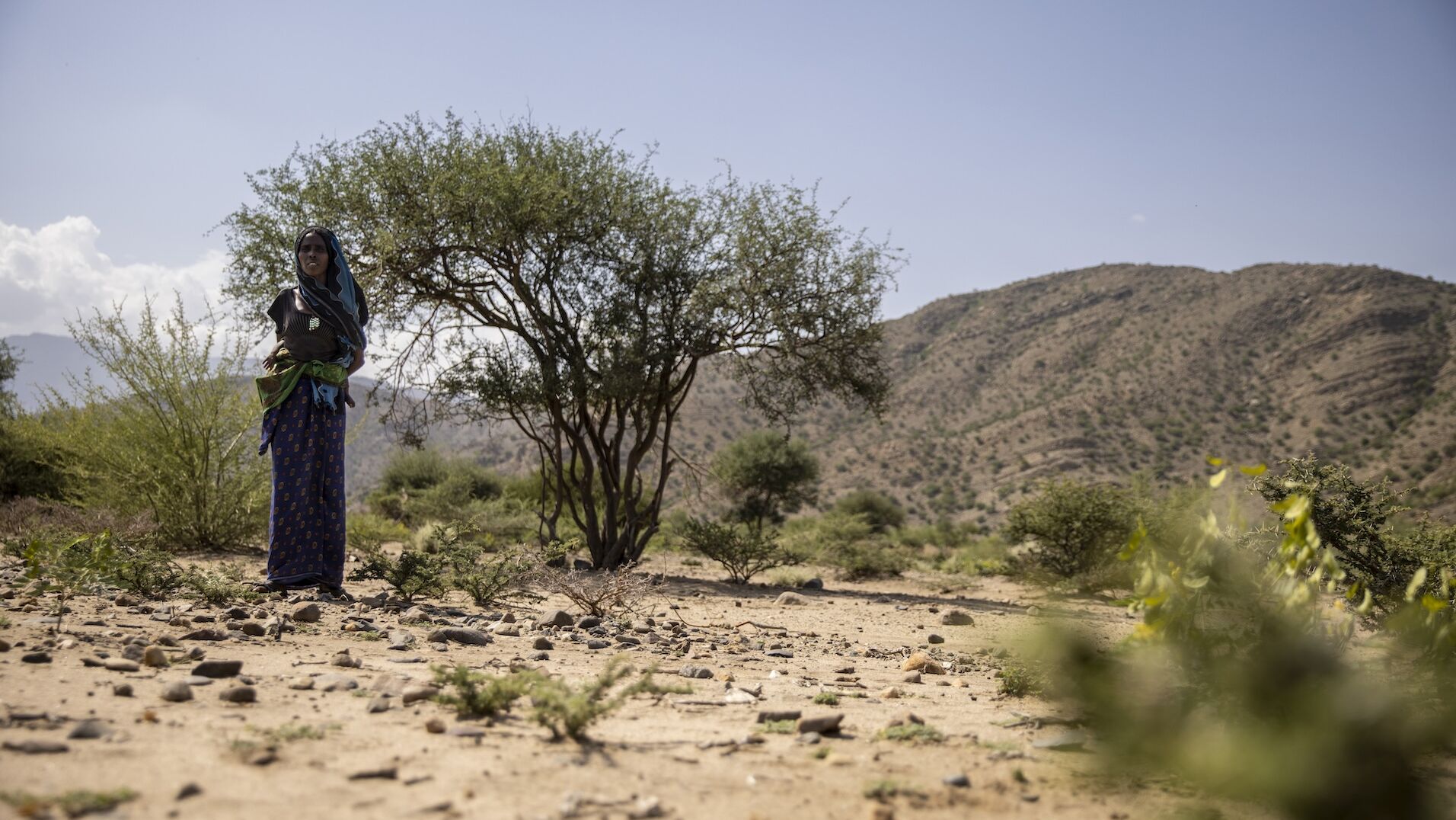 The Ripple Effects of Climate Change | Project HOPE | Advancing Global ...